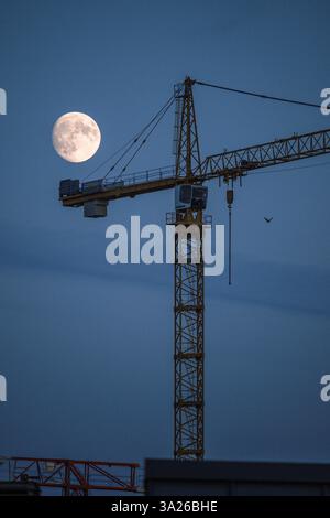 The Crane's Universe Stock Photo - Alamy