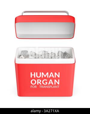 Human organ for transplant refrigerator box isolated on white. 3d ...