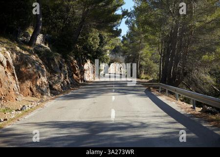 Sunlit island road through dense tropical vegetation under blue sky on ...