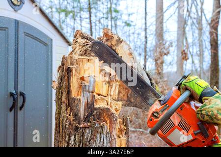 Chainsaw. Woodworkers lumberjack. Lumberjack worker with chainsaw in ...