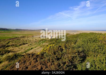 salthouse saltmarsh, north norfolk, england Stock Photo - Alamy