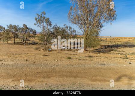Panorama landscape view of the Ziz Valley and the Tafilalet region in ...