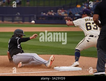 Chicago White Sox shortstop Brooks Baldwin throws to first base against ...