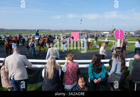 Scenes after Jeux D'Eau and Mr Huw Edwards win the Mixed Open at Bangor ...