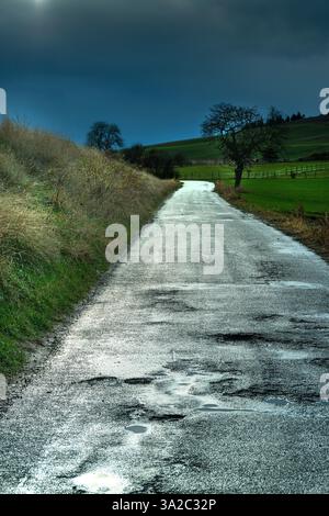 A country road surrounded by fields under thick fog Stock Photo - Alamy