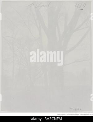 This photograph by Eugène Atget shows the large open spaces, tree-lined ...