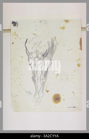 This study focuses on the hindquarters of a horse, emphasizing the form ...