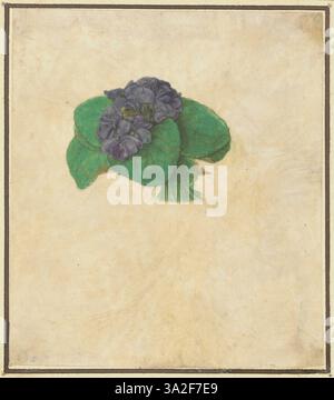 Albrecht Dürer - Violet Bouquet Stock Photo - Alamy