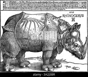 This chiaroscuro woodcut of a rhinoceros by Albrecht Dürer, created in ...