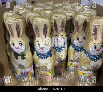 Display on retail shelf of wholesale chocolate Easter bunnies chocolate ...