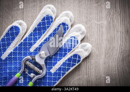 Steel garden pruner with rubber protective gloves on wood board ...