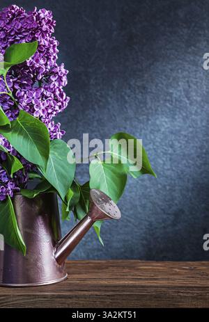 lilac flowers in vintage bronze bowl on black background Stock Photo ...