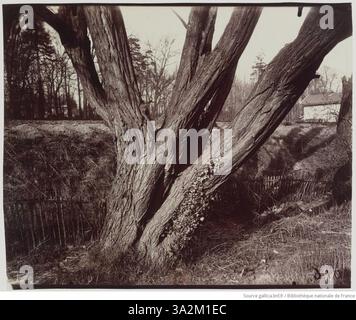 This photograph by Eugène Atget captures the expansive gardens of ...