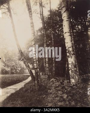 In this June 1926 photograph, Eugène Atget captures a moment of ...