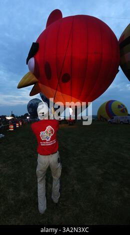 Hot air balloons during the 80 Balloons above Hradec Kralove event ...