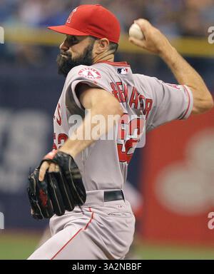 St. Petersburg, FL USA; Los Angeles Dodgers relief pitcher Evan ...