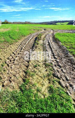 Tractor tyre marks and deep ruts in waterlogged farmland field - Indre ...