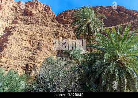Todra Gorge is a canyon in the eastern part of the High Atlas Mountains ...
