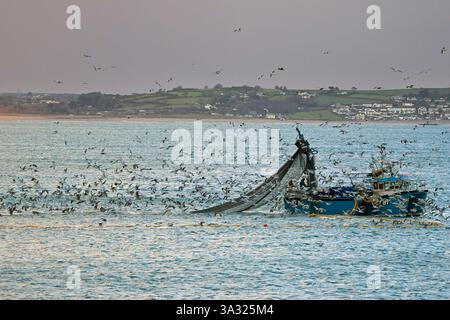 A large flock of gulls around a ring-netting trawler in Mounts Bay ...
