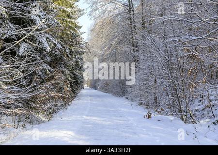 Embankment covered in snow in central London this morning Stock Photo ...