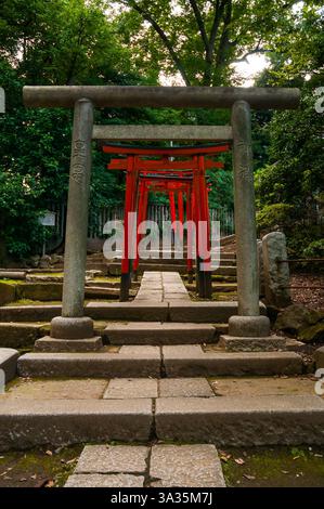 Japanese Portal (Torii Stock Photo - Alamy