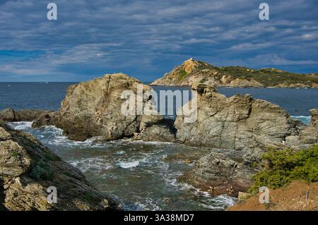 Stunning Ile de Gaou at the Cote d'Azur in France Stock Photo - Alamy