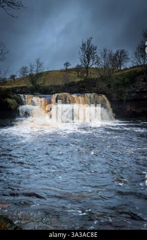 Rainby Force on the River Swale in Yorkshire, England, cascades amidst ...