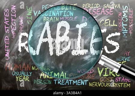 Rabies, word cloud concept on white background Stock Photo - Alamy