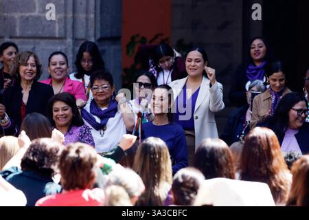 Mexico’s President Claudia Sheinbaum Pardo speaks during a briefing ...