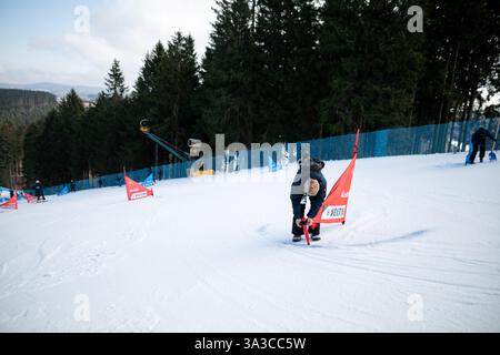 Winterberg, Germany. 15th Mar, 2025. Snowboard: World Cup, Parallel ...