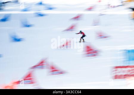 A view of the slope of a women's World Cup giant slalom made with ...