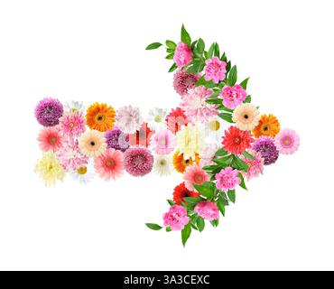 Arrow made of fresh colorful flowers on white background Stock Photo ...
