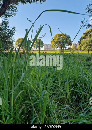 A view of the Sails in the Scampia neighborhood on the outskirts of ...