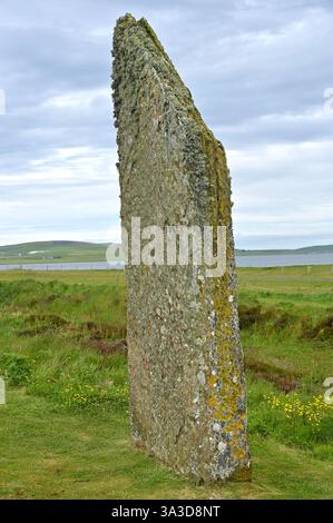 Standing stone forming part of Ring of Brodgar neolithic stone circle ...