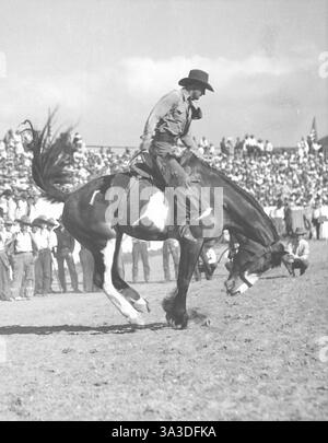 Man on a bucking horse at a rodeo Stock Photo - Alamy