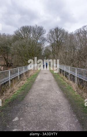Healey Dell Nature Reserve Stock Photo - Alamy