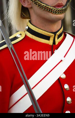 Beefeater standing guard at Buckingham palace Stock Photo - Alamy