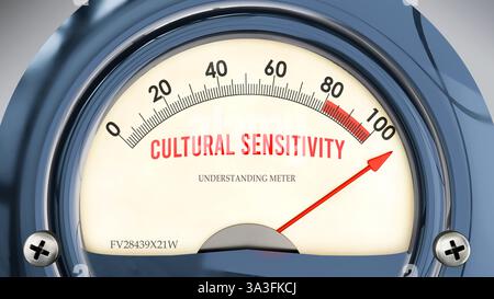 Cultural Sensitivity and Understanding that is hitting a full scale ...