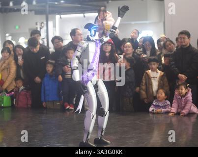 Unitree G1 humanoid robot performs martial arts and dances for tourists ...