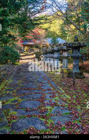 The marvelous Yashamon Gate at the Taiyu-in Temple in Nikko. Tochigi ...