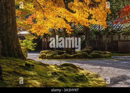 Scenic sight in Nikko during fall season. Tochigi Prefecture, Japan ...