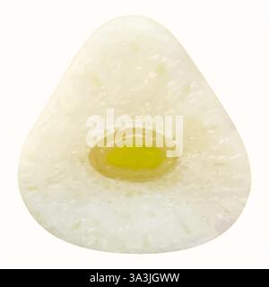 Garlic clove in section isolated on white background. Raw vegetable ...