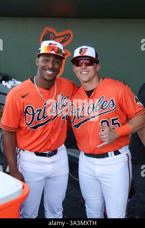 Baltimore Orioles Aron Estrada (75) bats during an MLB Spring Breakout ...