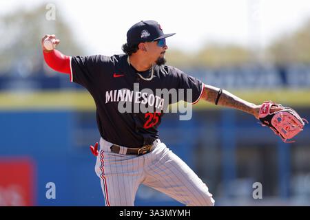Minnesota Twins Danny De Andrade (25) at bat during an MLB Spring ...