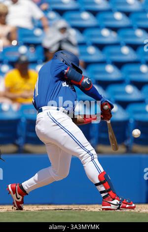 Toronto Blue Jays outfielder Victor Arias (41) jogs to the dugout ...
