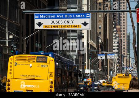 The Madison Avenue bus priority corridor in Manhattan, New York City ...