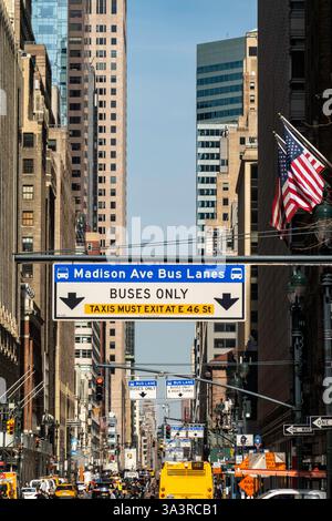 The Madison Avenue bus priority corridor in Manhattan, New York City ...