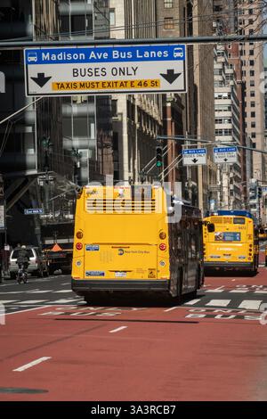 The Madison Avenue bus priority corridor in Manhattan, New York City ...