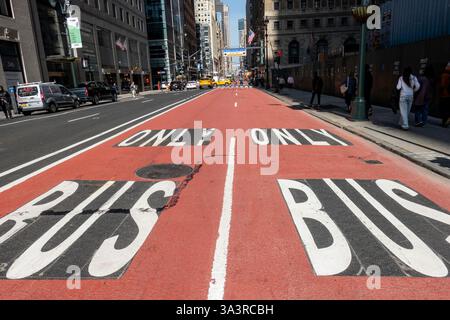 The Madison Avenue bus priority corridor in Manhattan, New York City ...