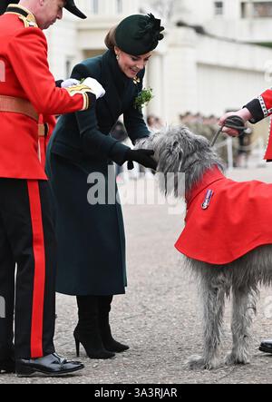 The Princess of Wales meets regimental mascot Turlough Mor, an Irish ...
